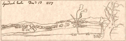 The History of our place | 1837 Barossa